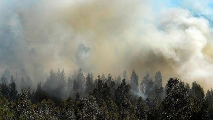 Onemi declara Alerta Roja para Santo Domingo y Zapallar por incendios ... Onemi declara Alerta Roja para Santo Domingo y Zapallar por incendios ...