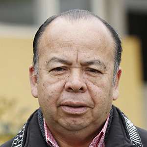 Las 21 figuras mapuche que saltan al debate: ¿Quién es quién de cara al ...