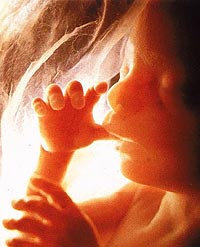 El estrés materno afecta al feto